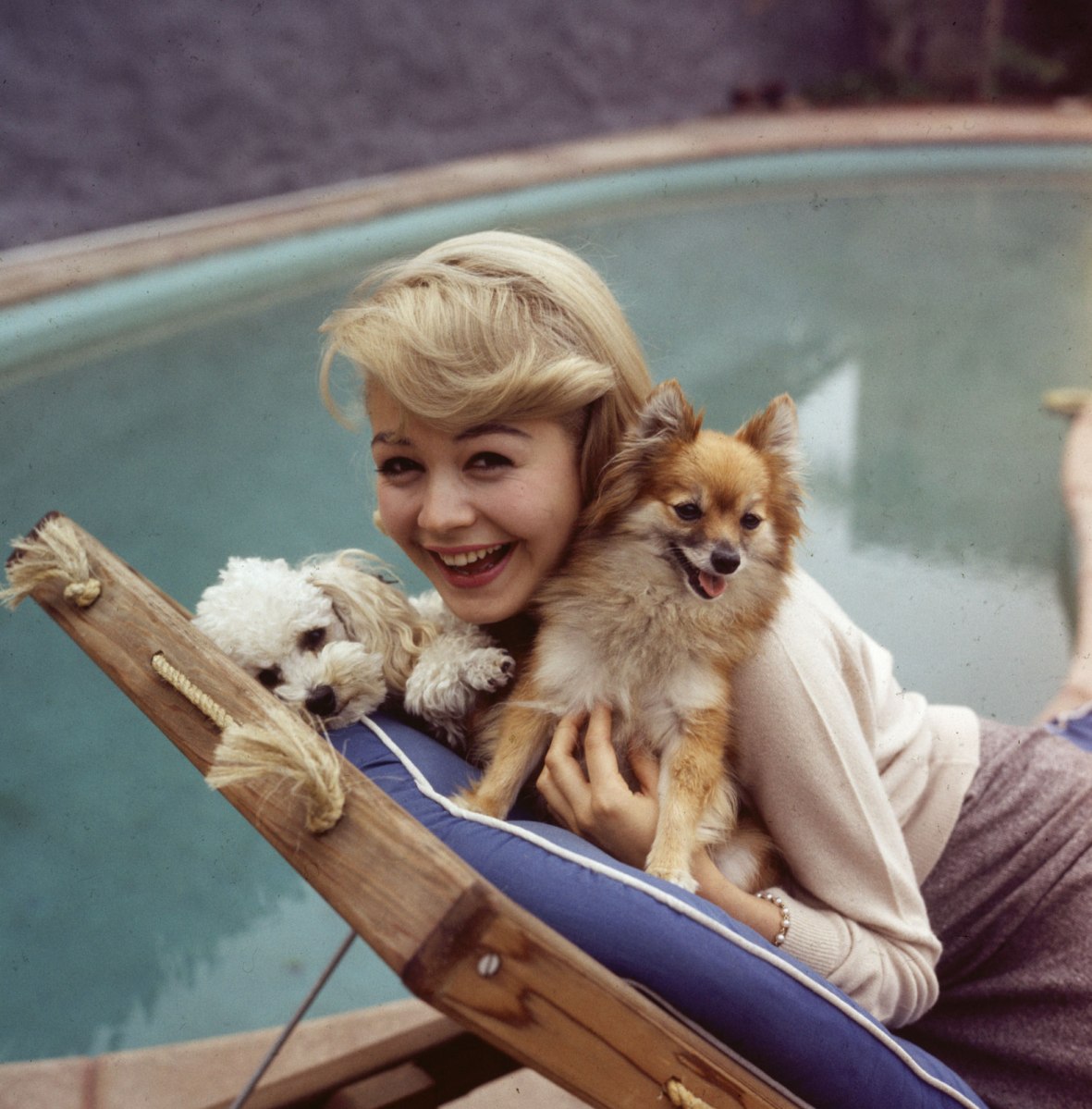 Sandra Dee: a tribute – The Motion Pictures