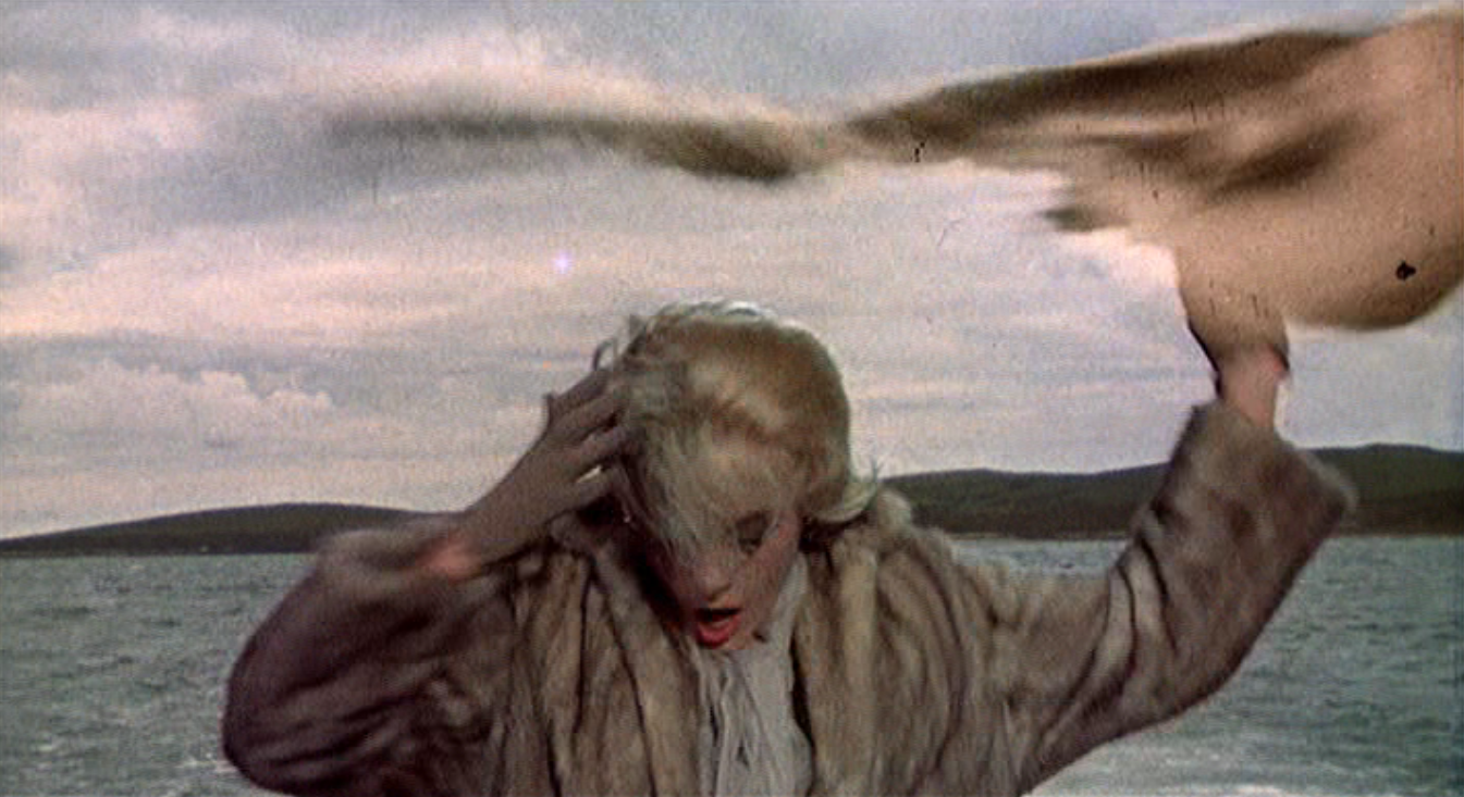Book vs. Film: The Birds – The Motion Pictures